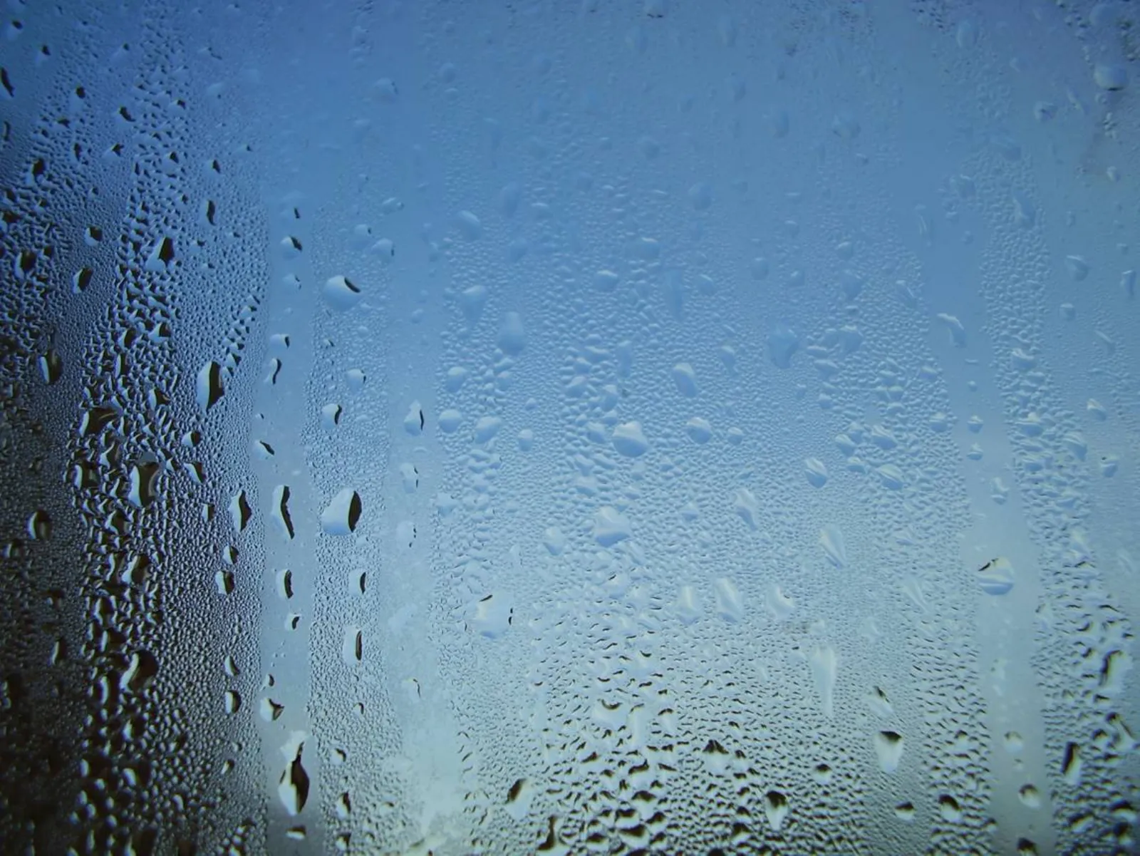 Detto fatto, condensa in casa