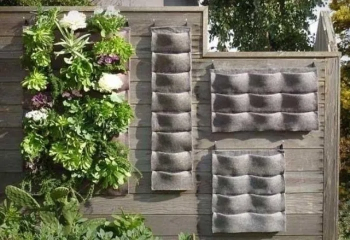 Orto verticale: verdure e ortaggi a centimetri zero